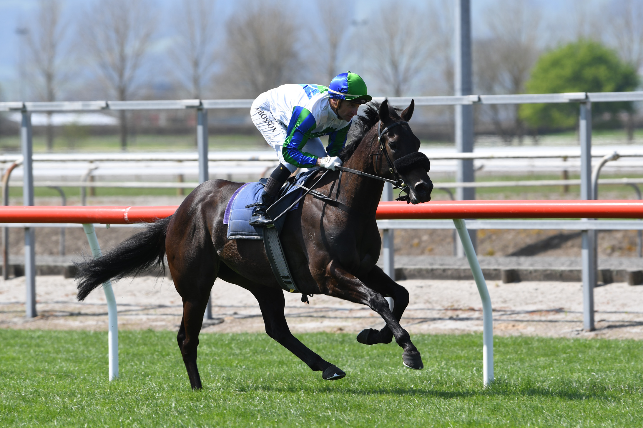 Wide barrier to test high-class mare in Arrowfield
