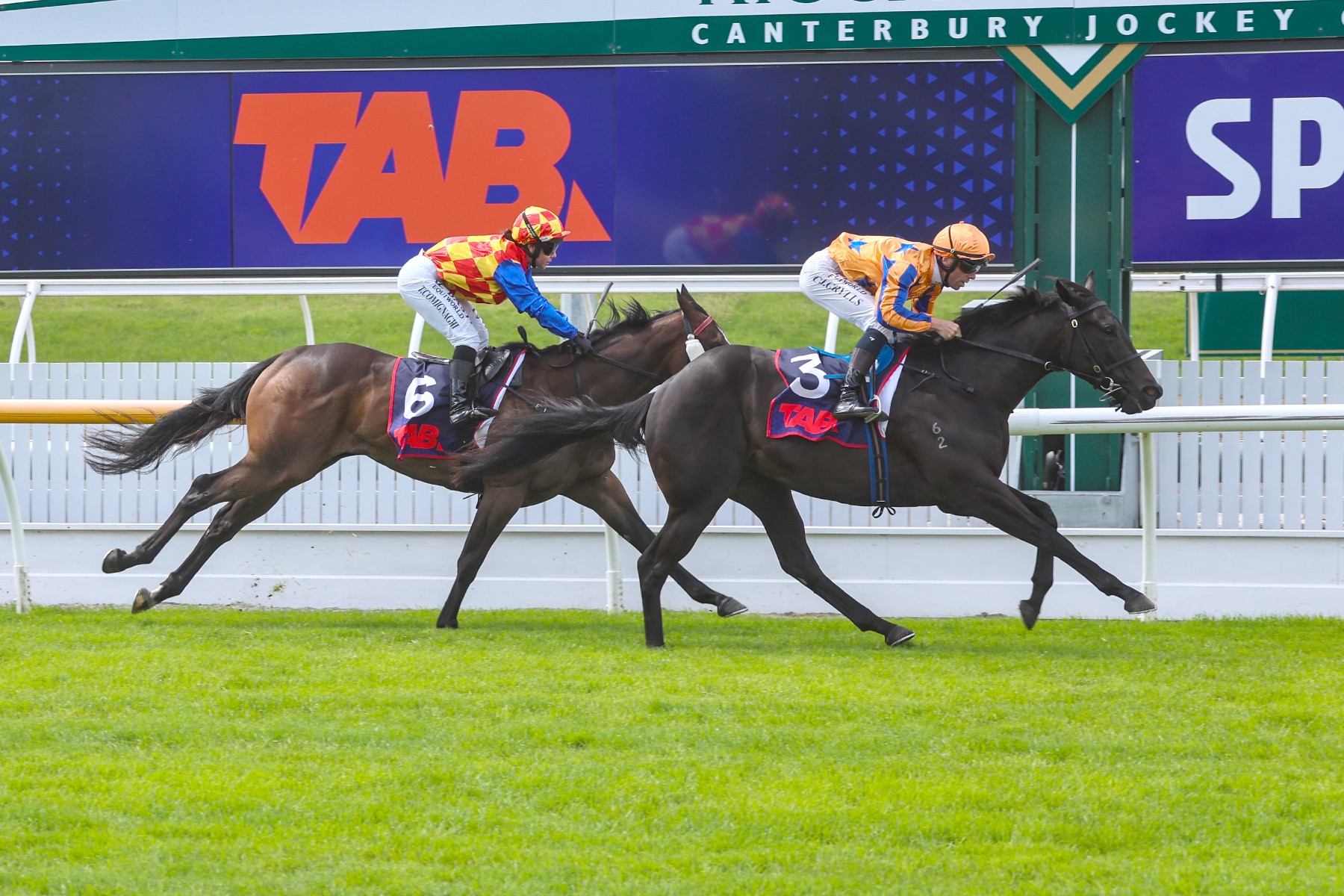 Cool family victory at Riccarton for Te Akau