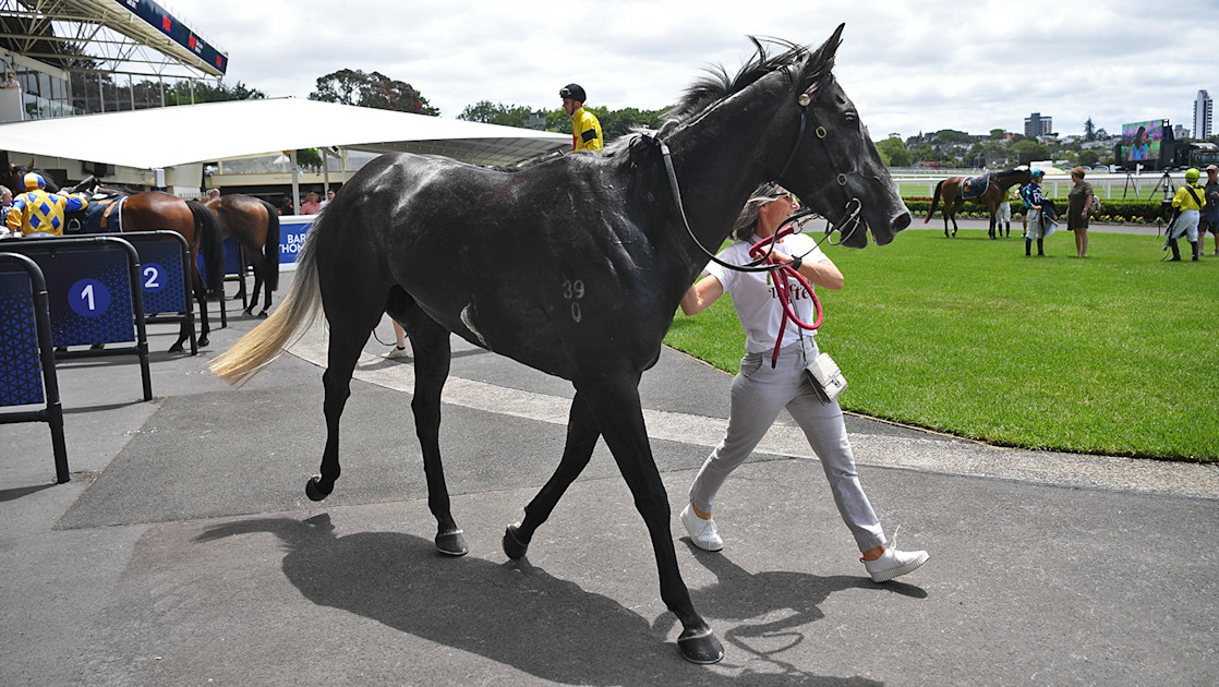 Steely Man provides first winner for German