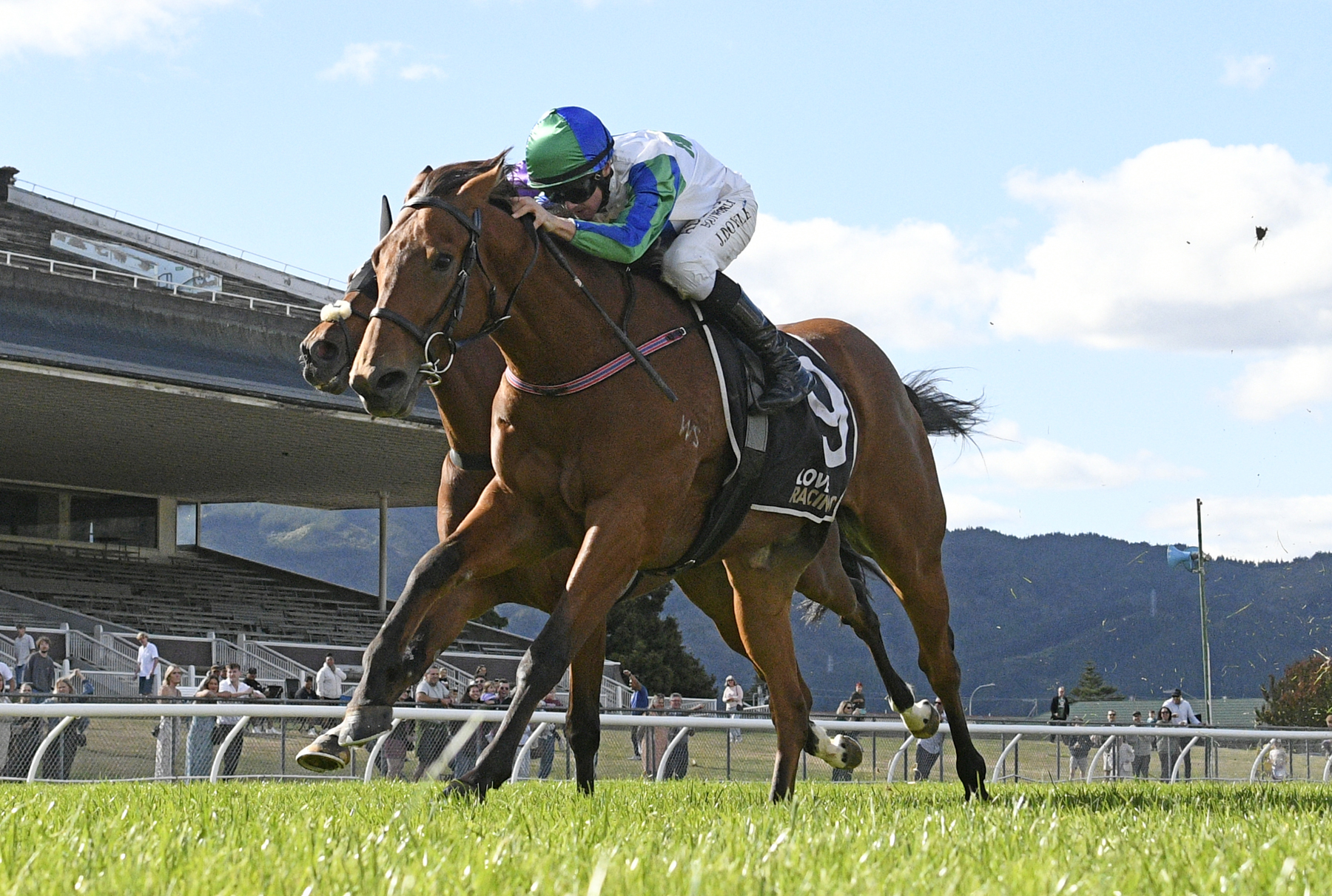 Ritchie pair on different paths in Doomben feature