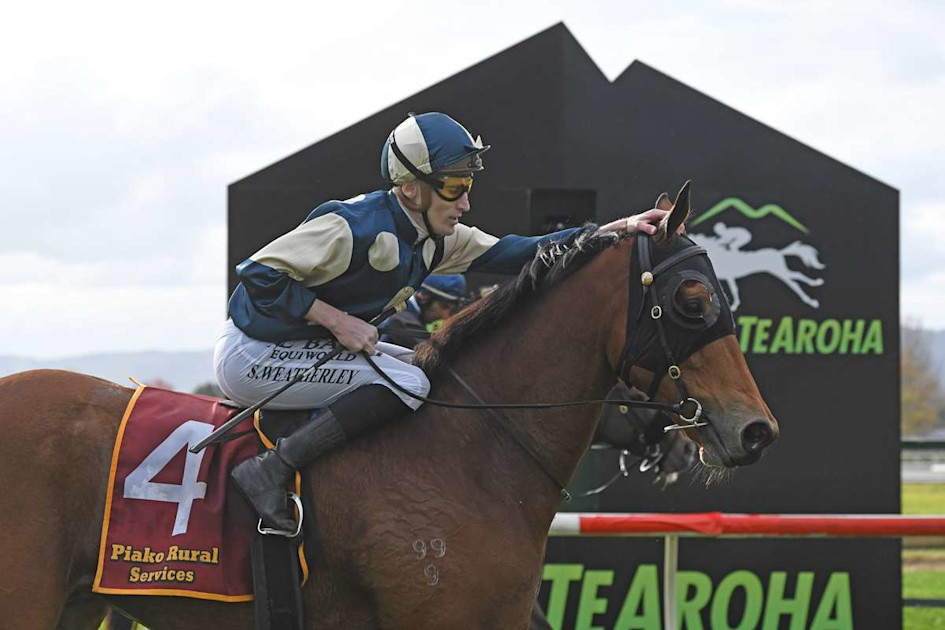 Pier returns rejuvenated to defend our dented racing pride