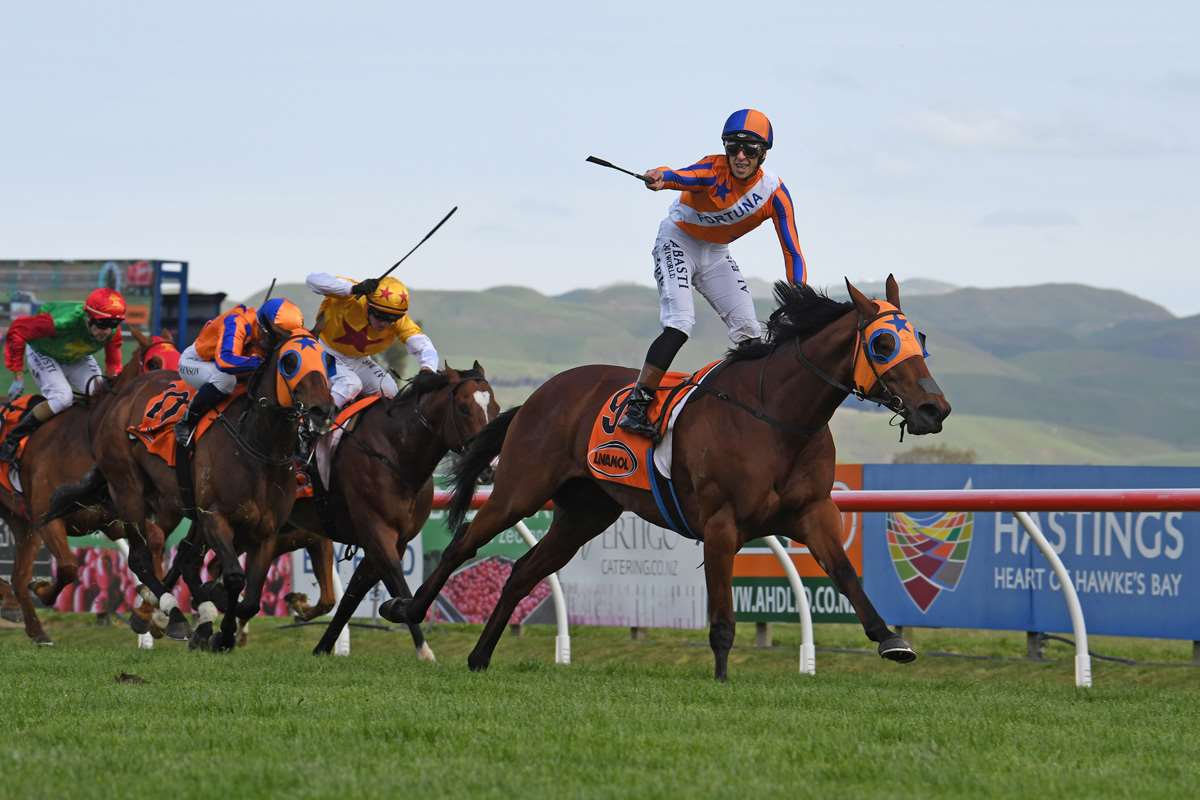 Livamol Classic and Te Rapa through the numbers Stephen Hunt