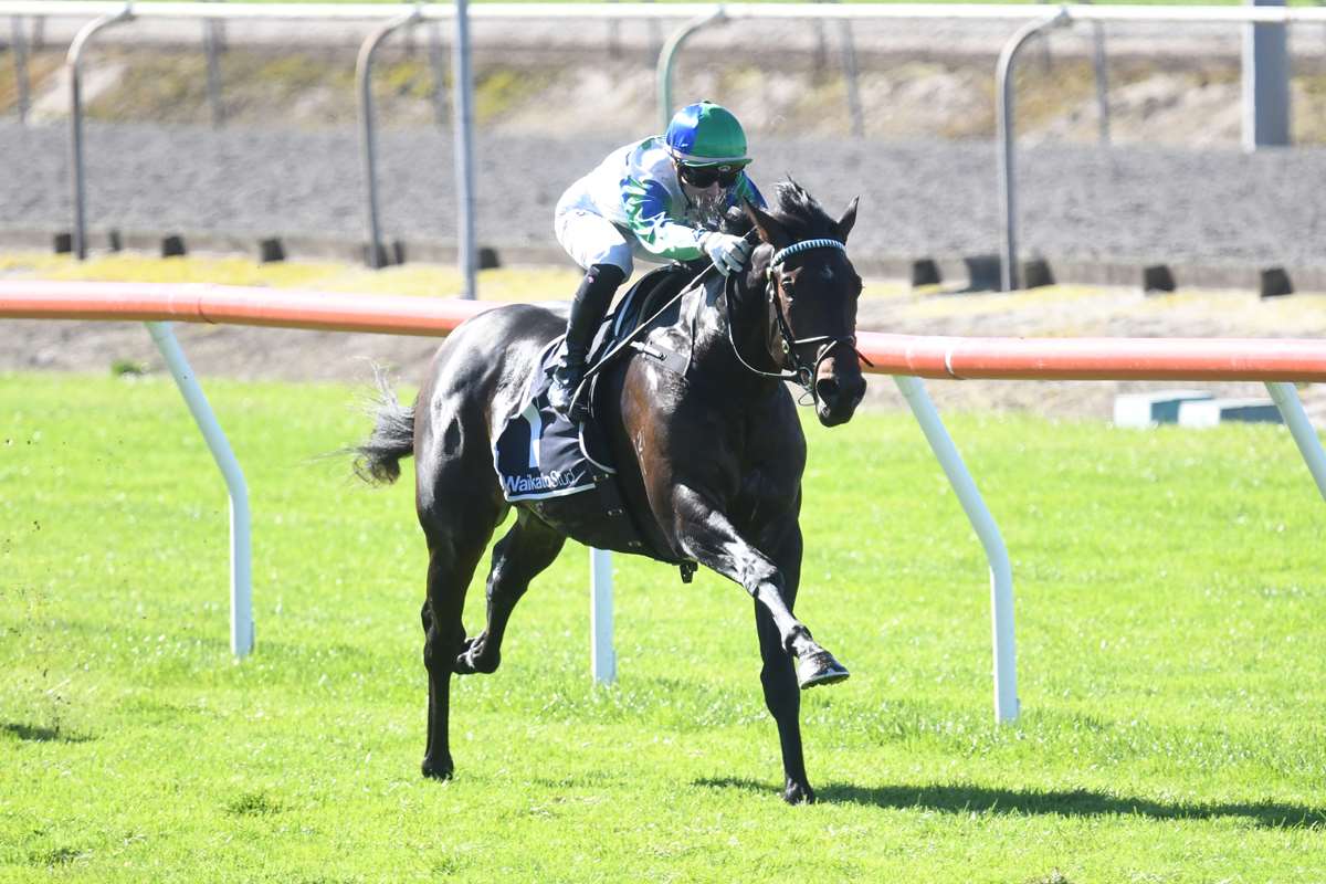 Shailer returns to training ranks