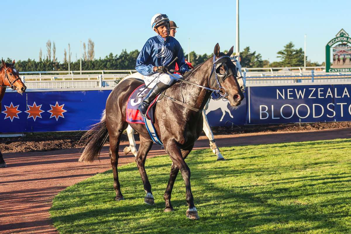 Stephen Hunt is running the numbers at Trentham