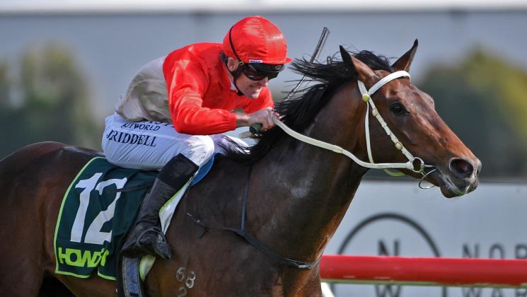 Magic Carpet taking McLeod on a great ride