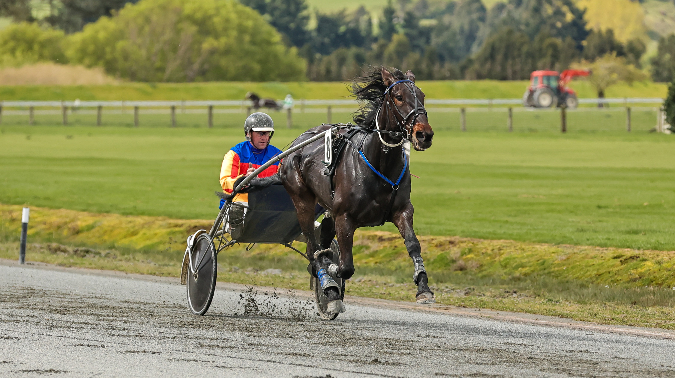 Styrax streets them at Wyndham