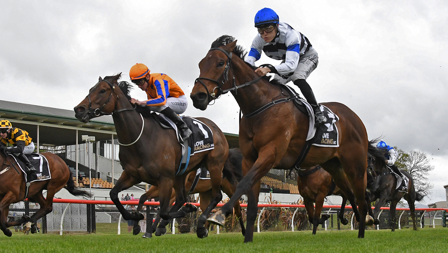 explosive stirling express scores at rotorua