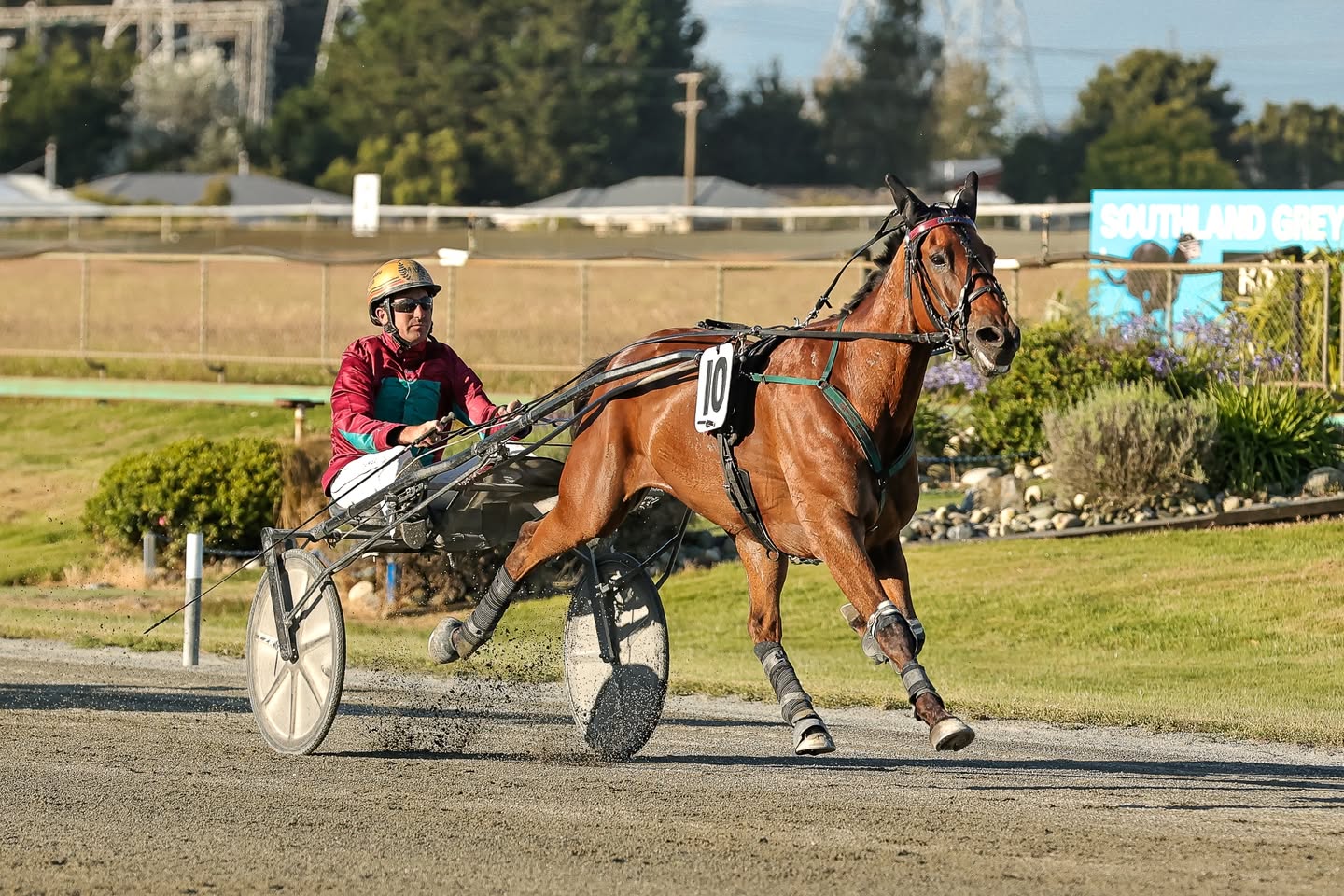 One Over All Triumphs in Group Three at Ascot Park