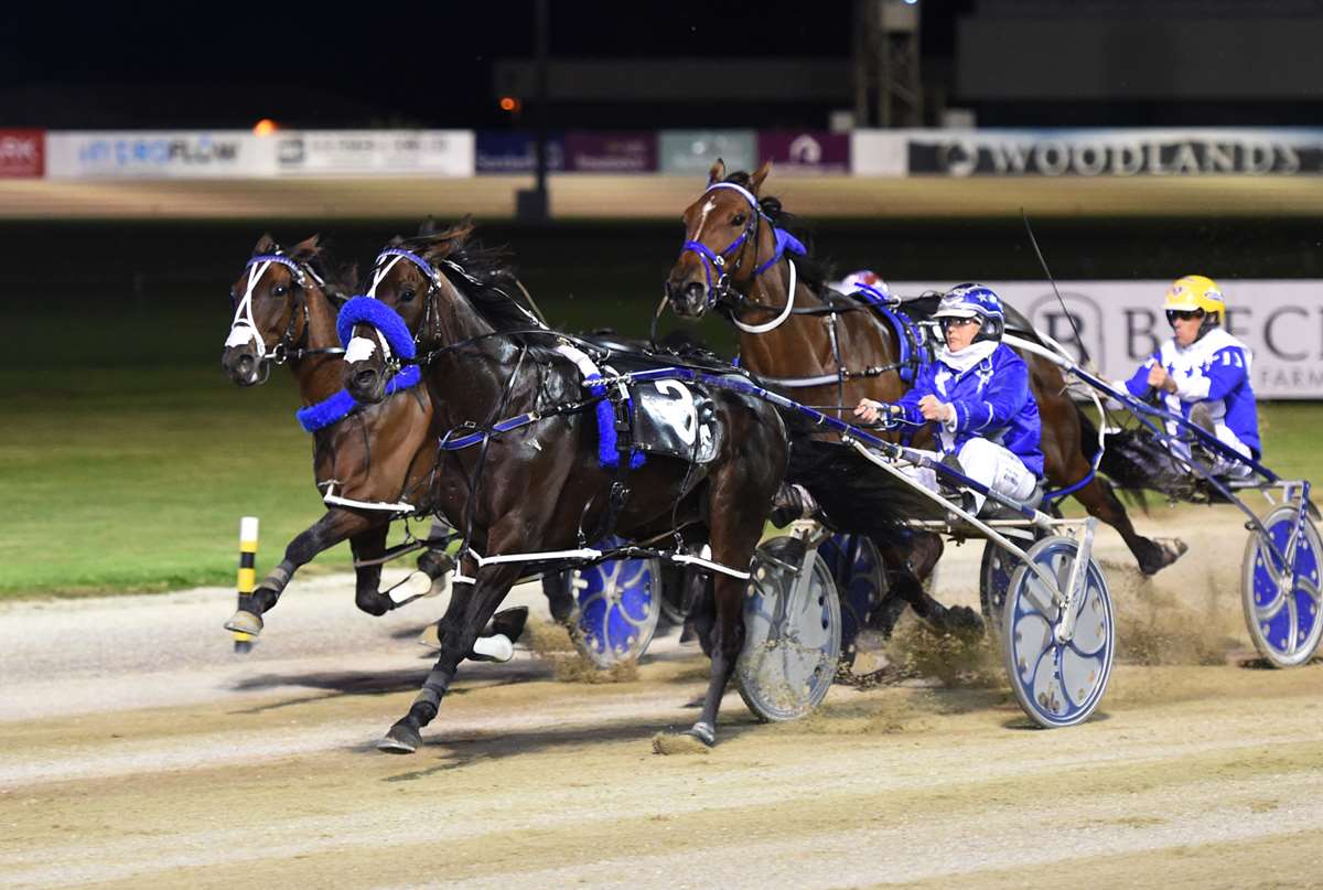 Mark Purdon’s high hopes for Don’t Stop Dreaming in 2025