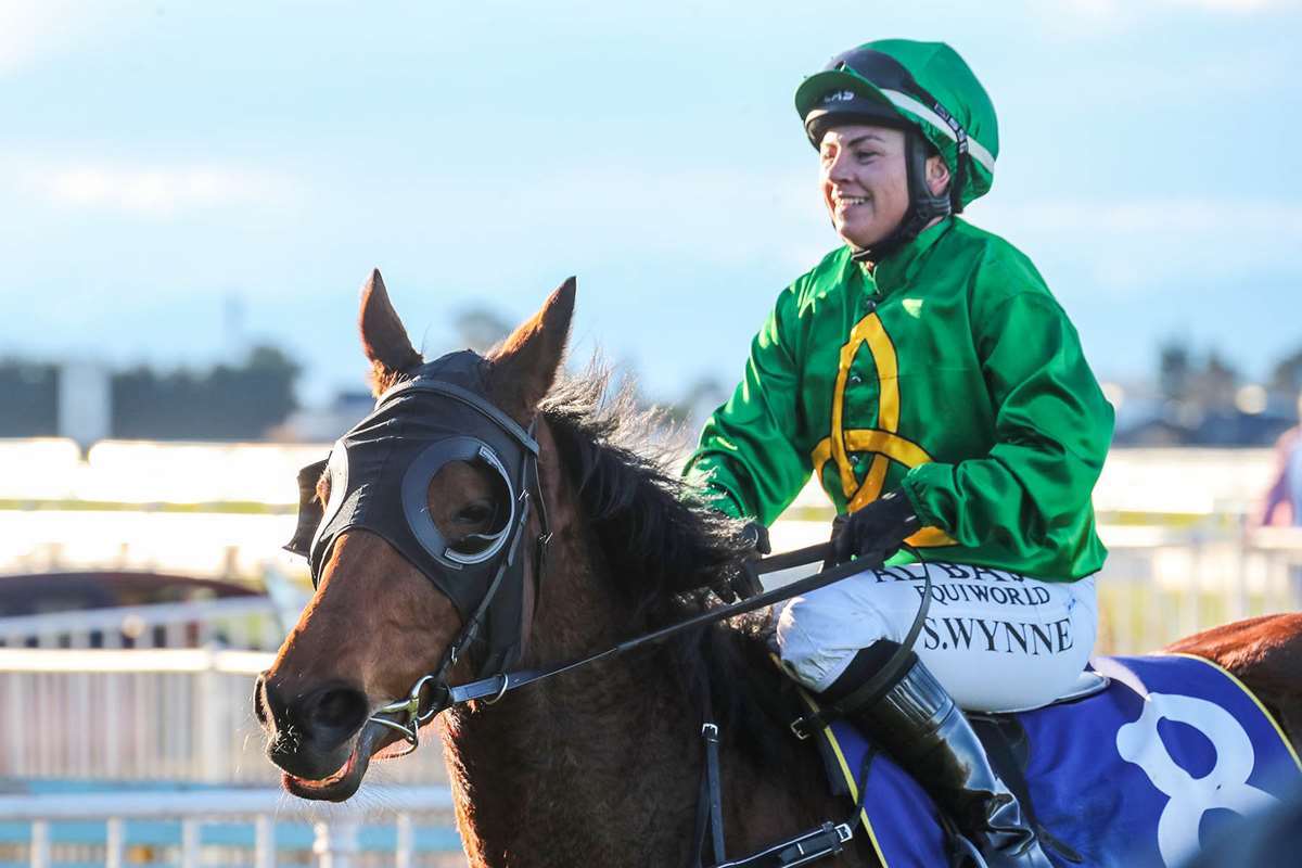 Pegasus to kick off exciting Cup Week for Wynne