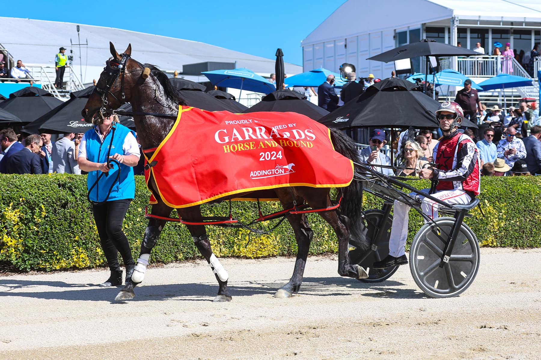 Star pacer ready to rocket around Nelson