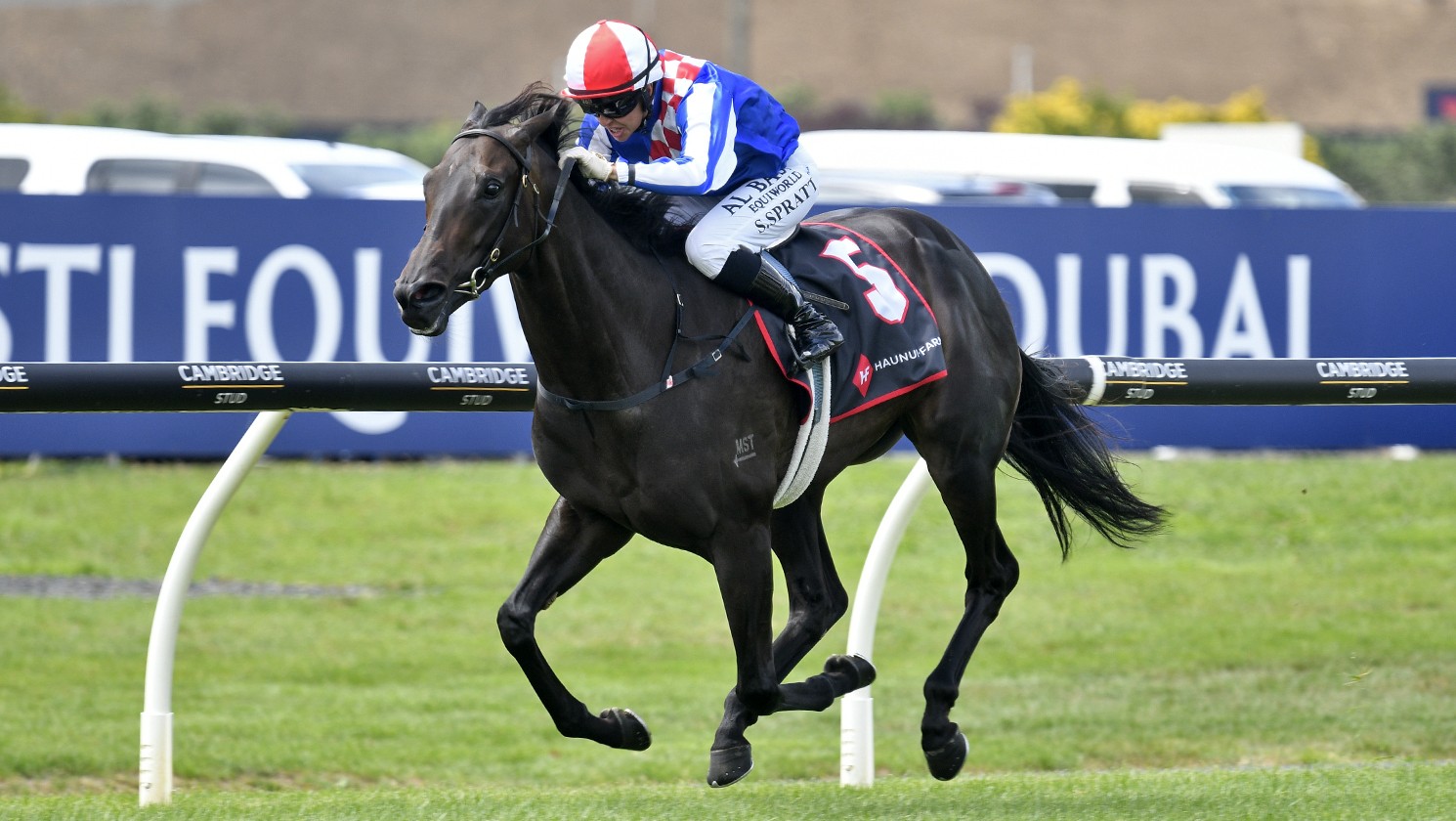 Alabama Lass Melbourne-bound after King’s Plate romp