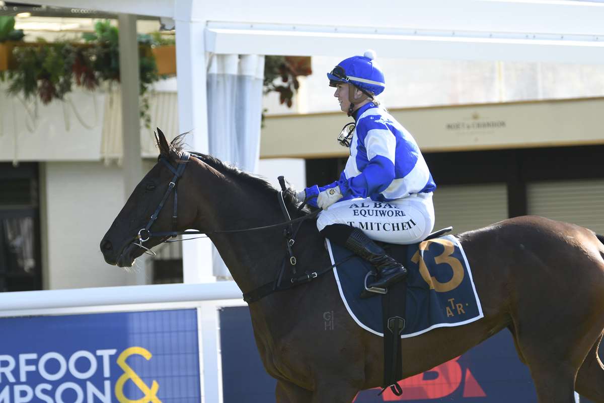 Stephen Hunt runs the Numbers - Previewing Te Rapa