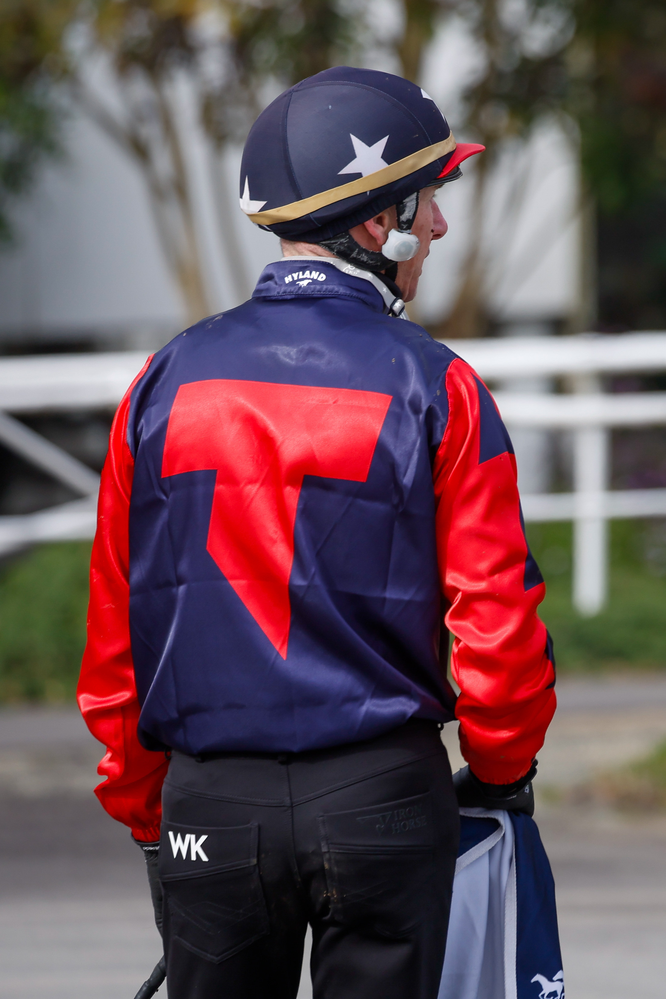 TAB fillies making debut at Ellerslie