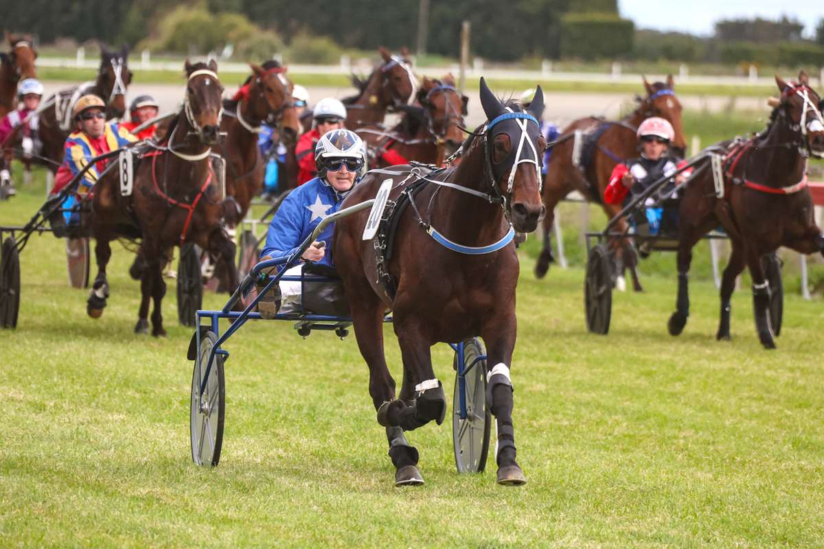Second Banks Peninsula Cup for Oscar Bonavena