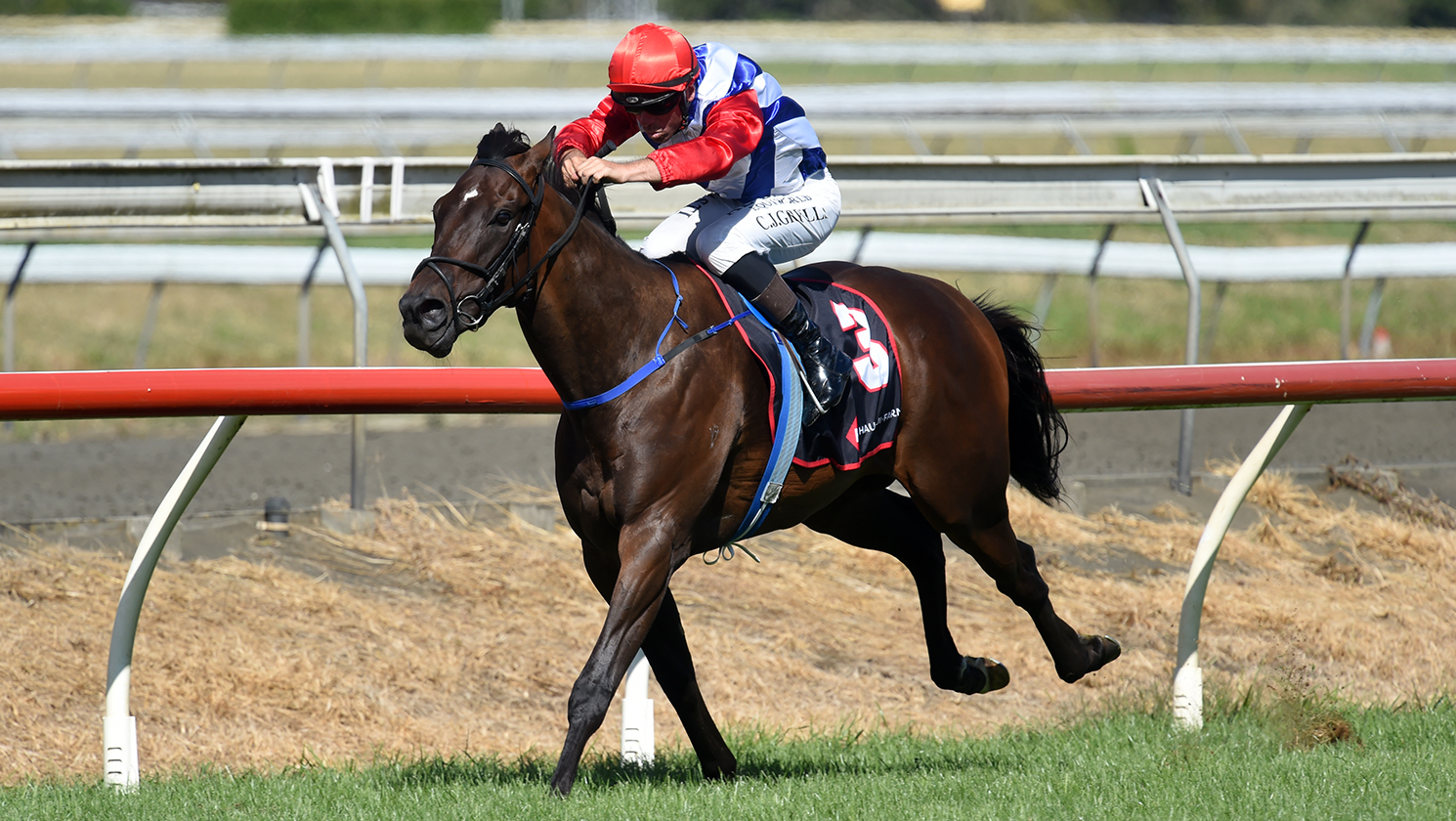 Wallbank’s pride and joy stars on home track