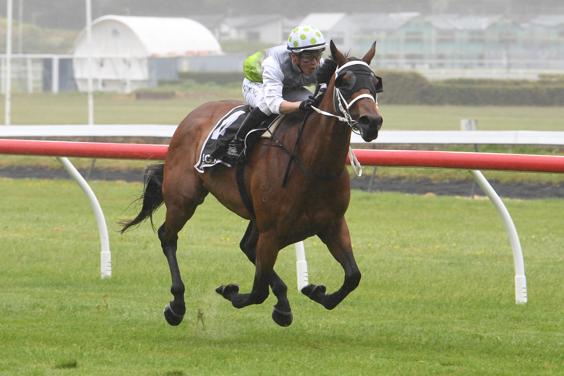 Full circle moment for Express Yourself