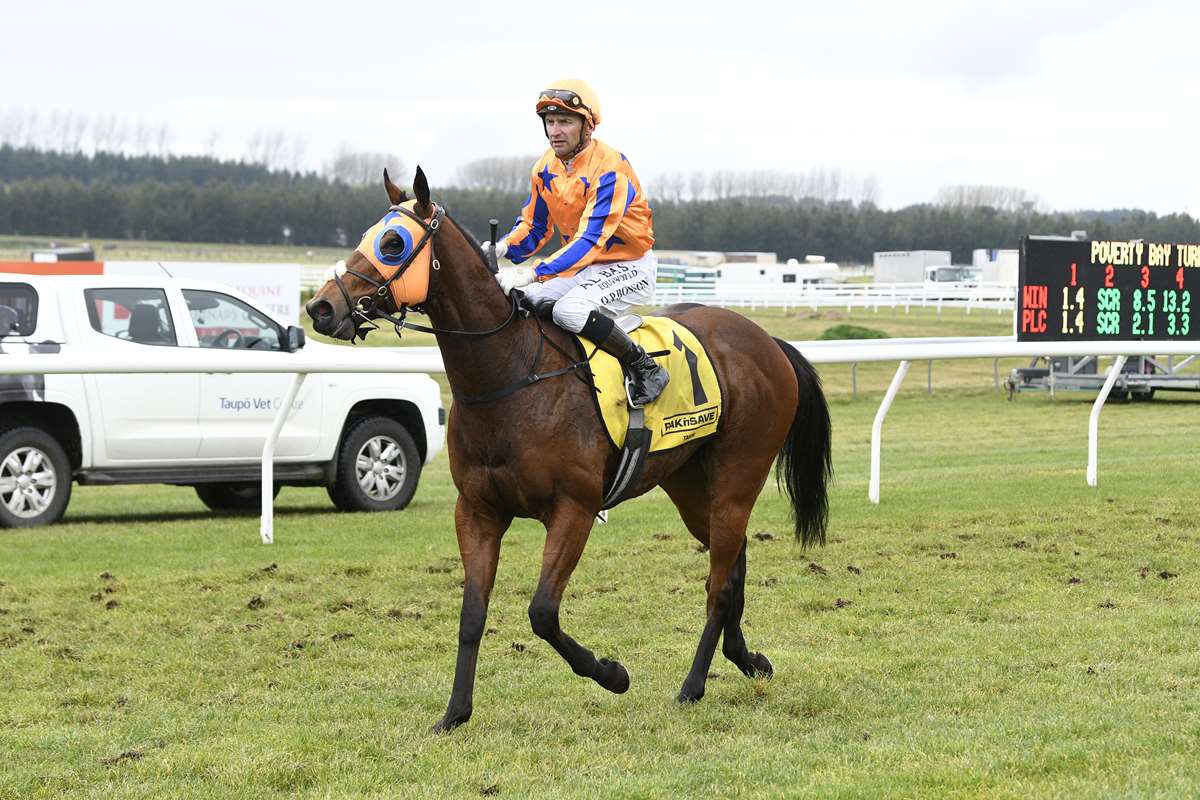 Special trans-tasman Sunday for Te Akau