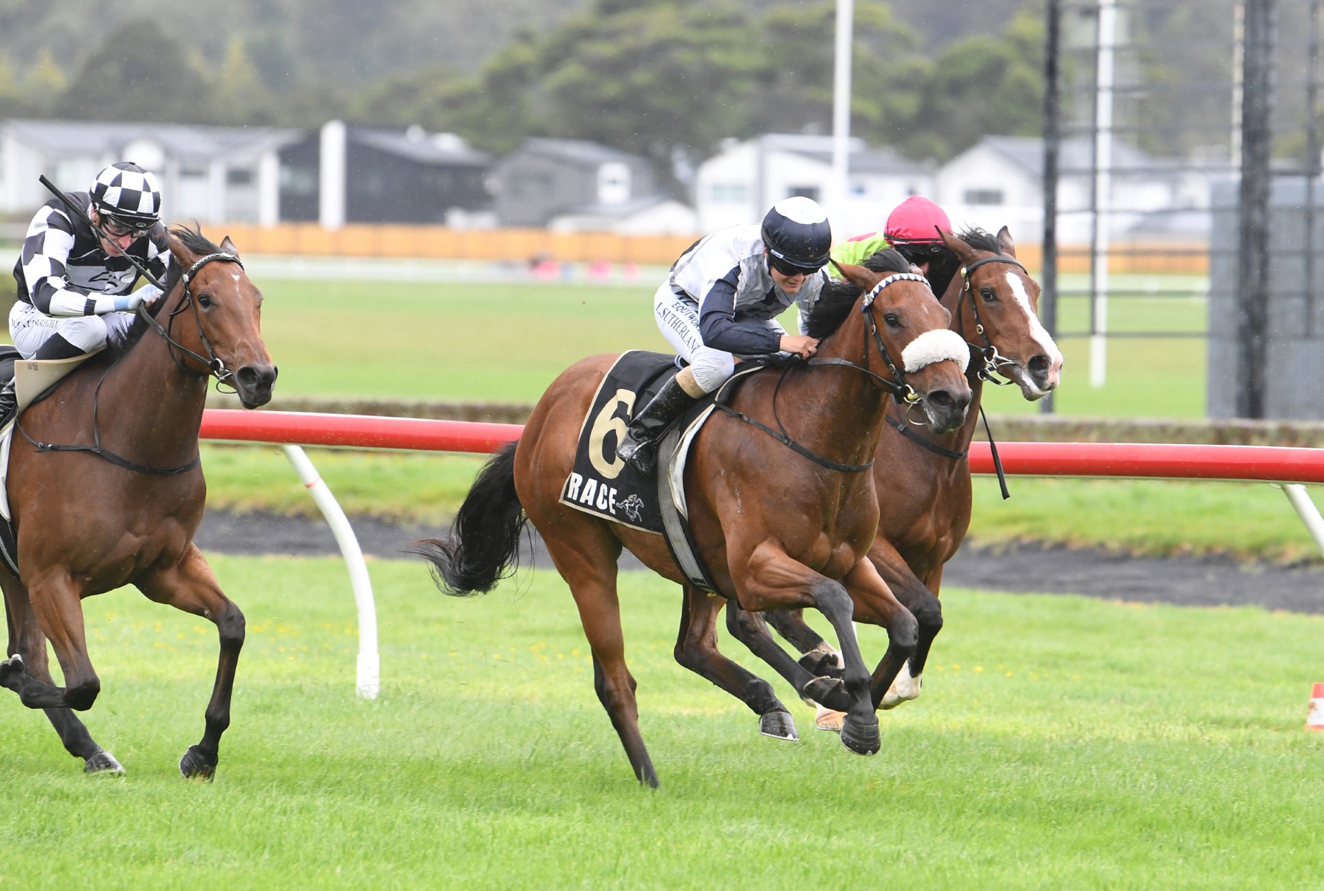 Karaka Millions 2YO a Bergerson family affair
