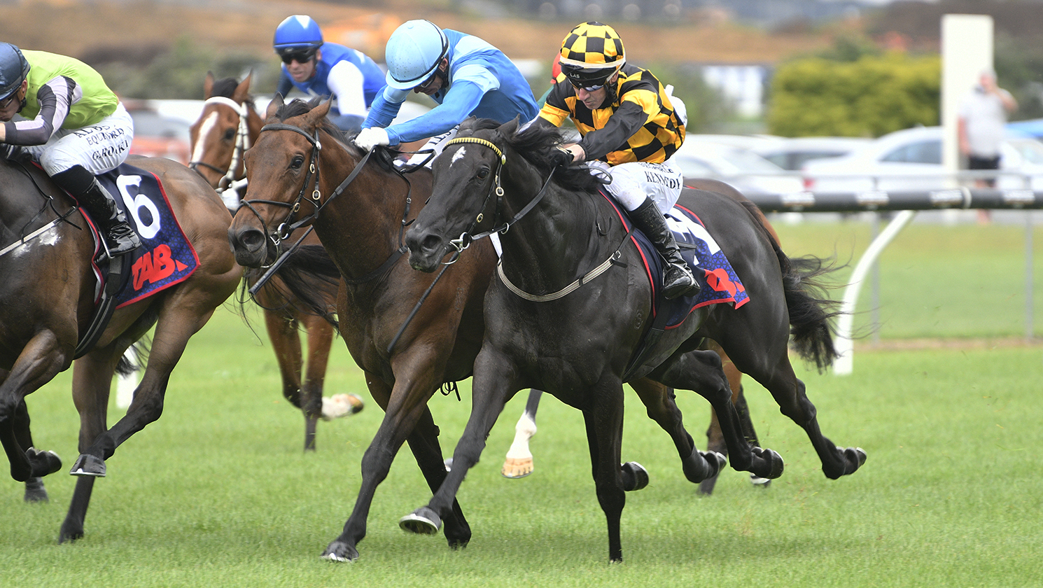 Dazzling display by Cambridge Stud mare