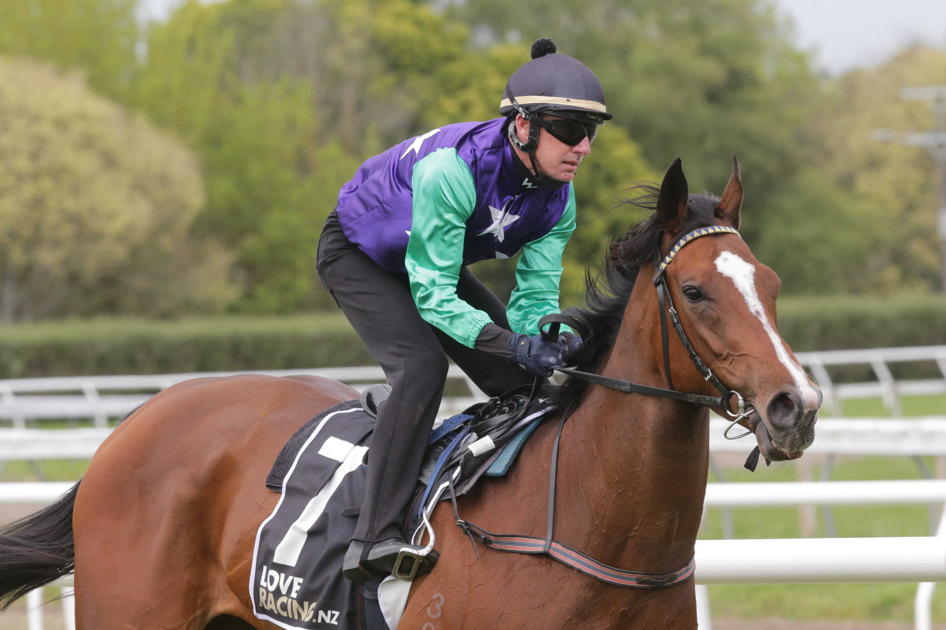 Hometown Cup a key stepping stone for Sassy Lass