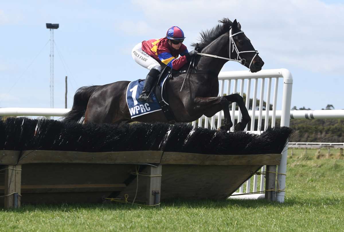 Taranaki chaser aiming for redemption at Trentham