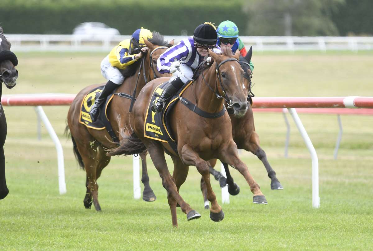 King riding wave of early success with Mid Ocean