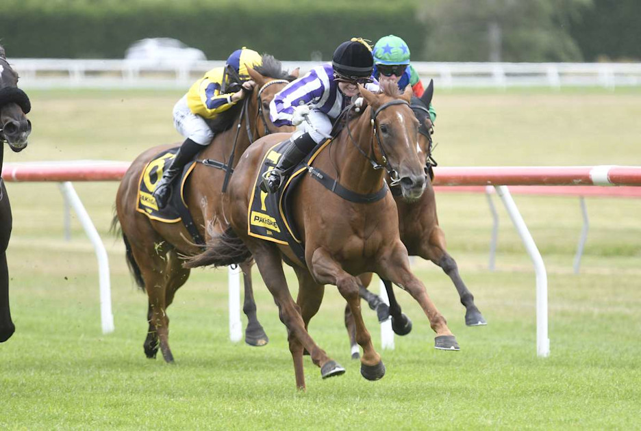 King riding wave of early success with Mid Ocean