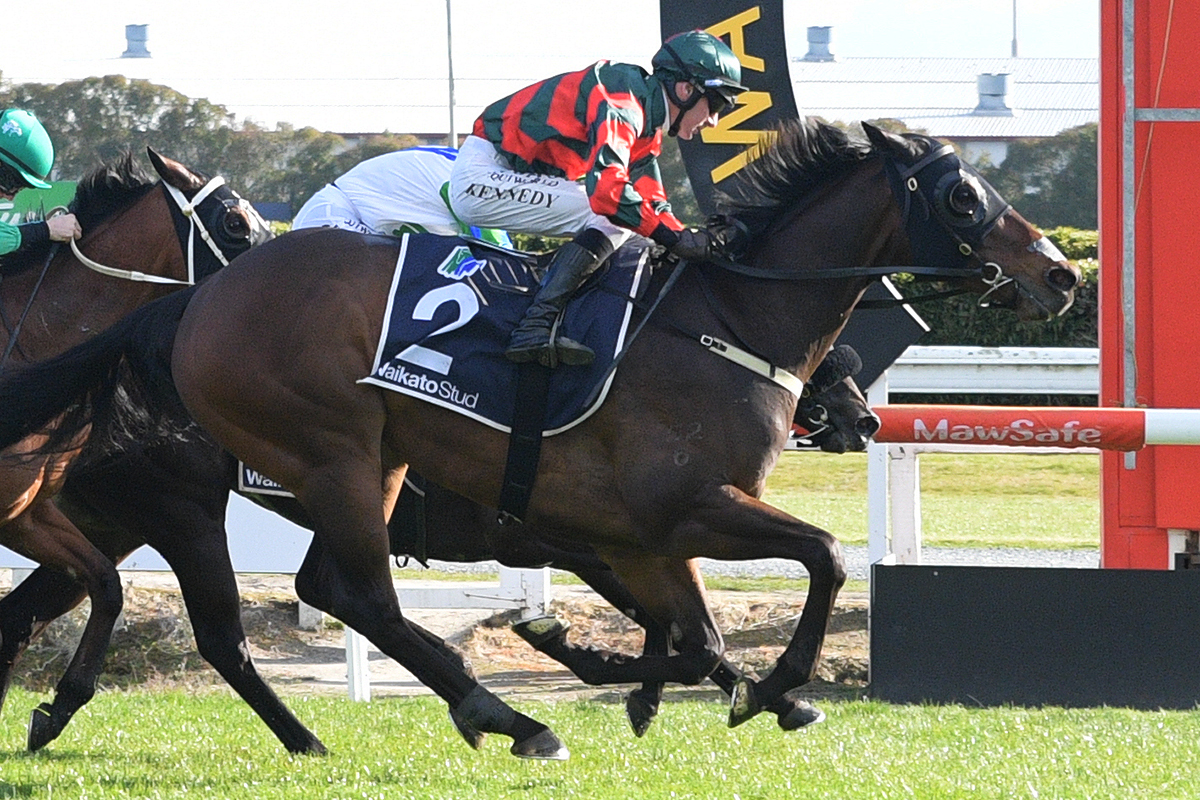 Dragon Leap retires with supreme send-off