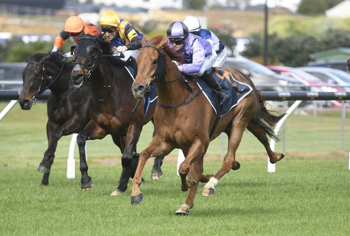 Run the numbers for Tauranga - Stephen Hunt