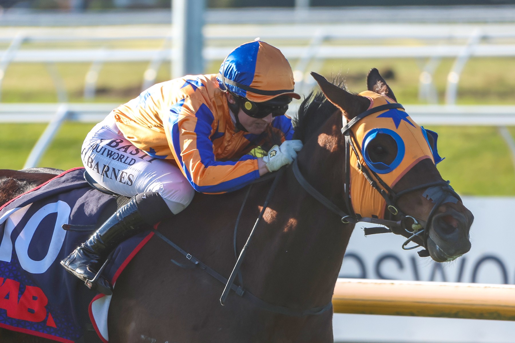 Cognito back in top form