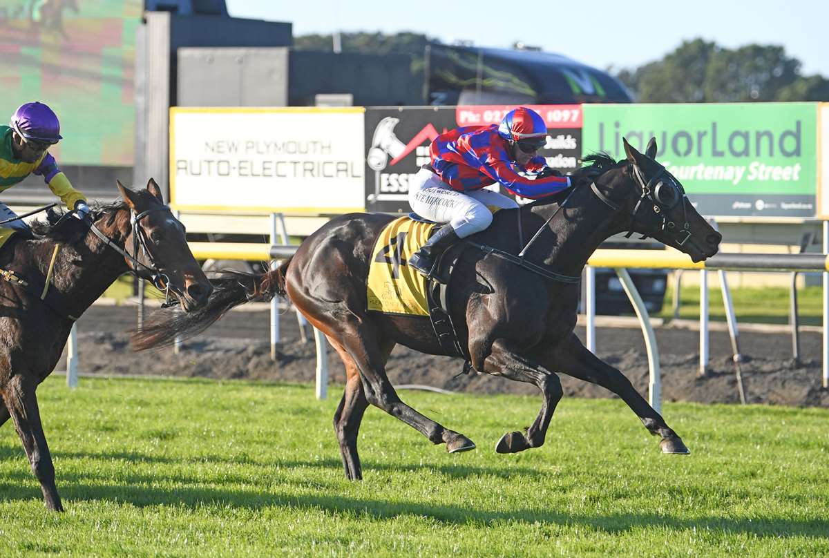 Orlov leading brother act for Haworth