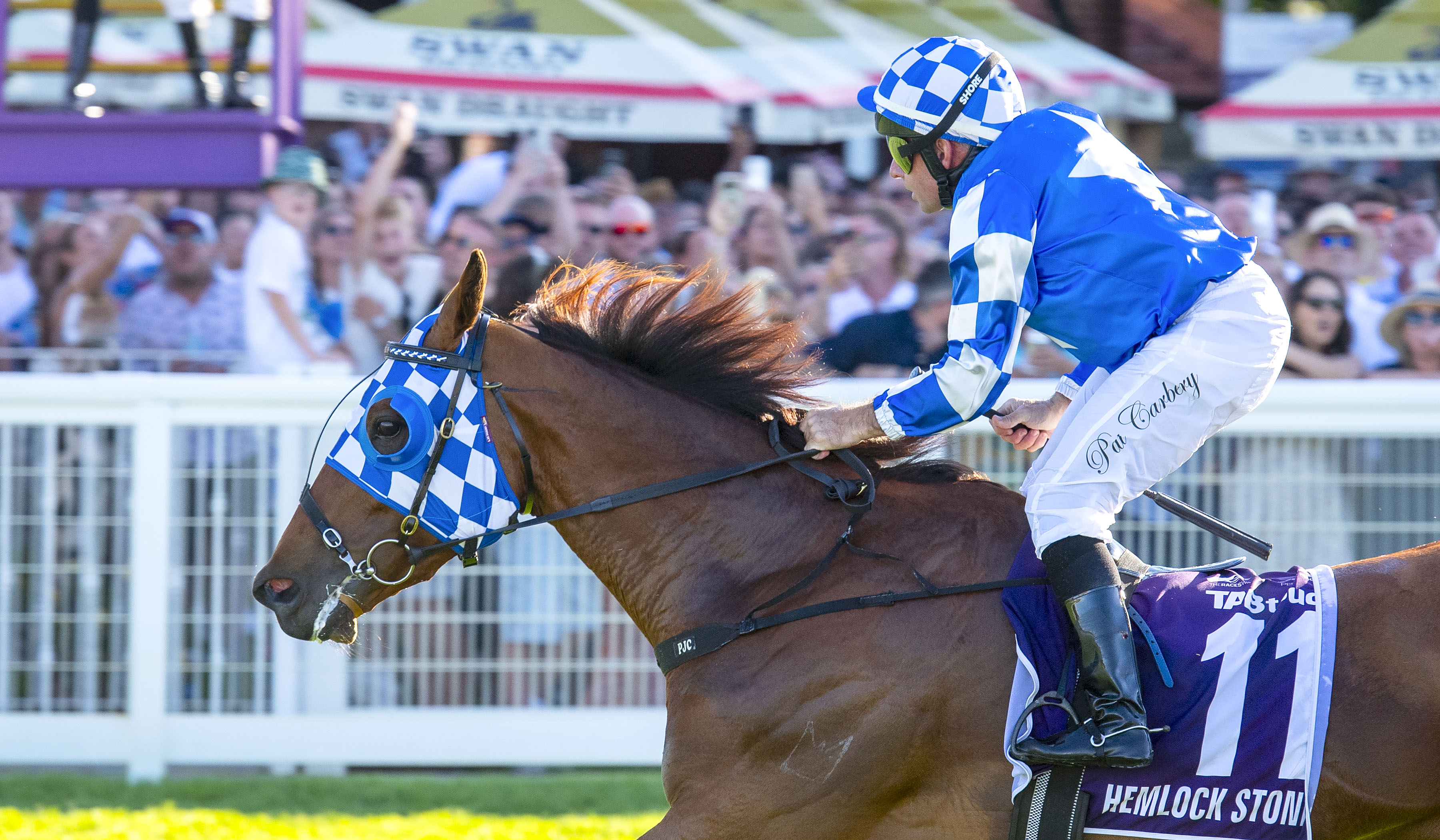Hemlock Stone delivers Perth Cup boilover