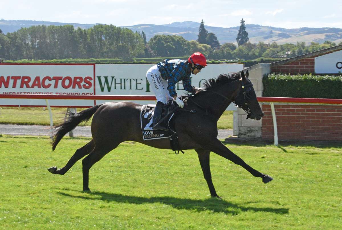 Watch Racing Live & On Demand | Trackside NZ