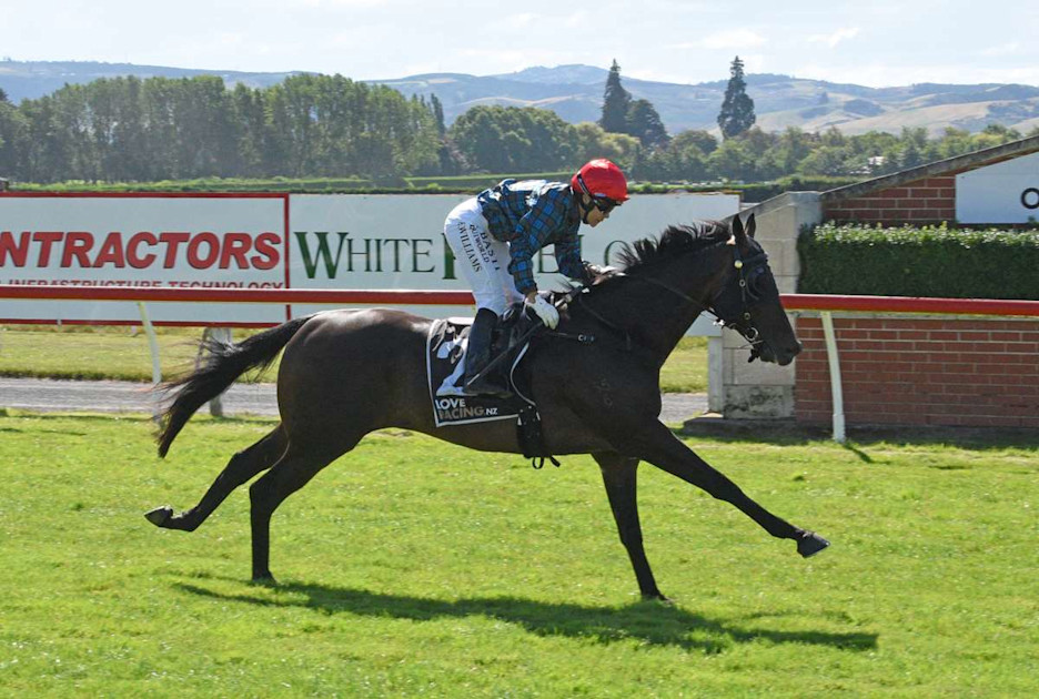 Stephen Hunt Runs the Numbers on Otago Classics Day