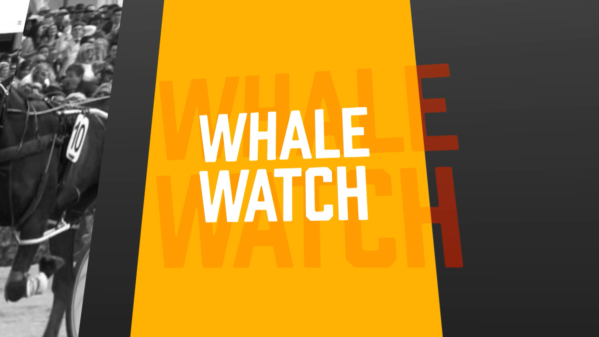 Watch Racing Live & On Demand | Trackside NZ