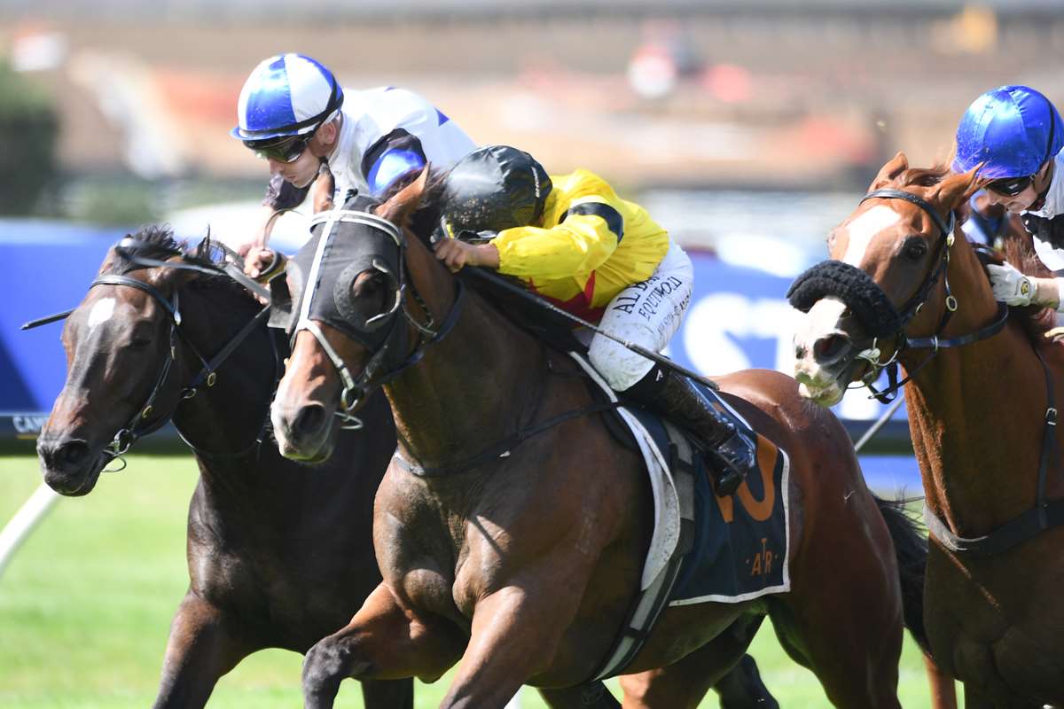 McCarroll’s bargain mare a gilt-edged investment