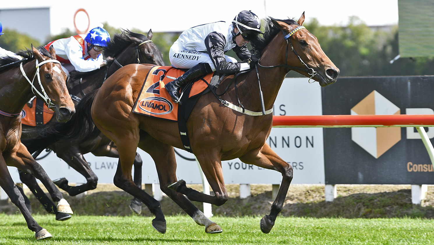 lux libertas continues rapid rise
