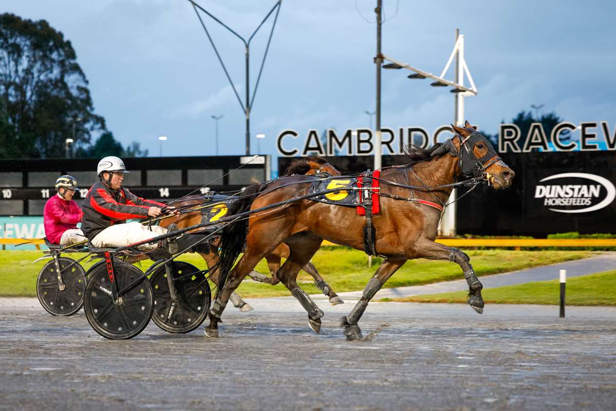 Ruby Ridge is a chance for Blanchards at Cambridge tonight