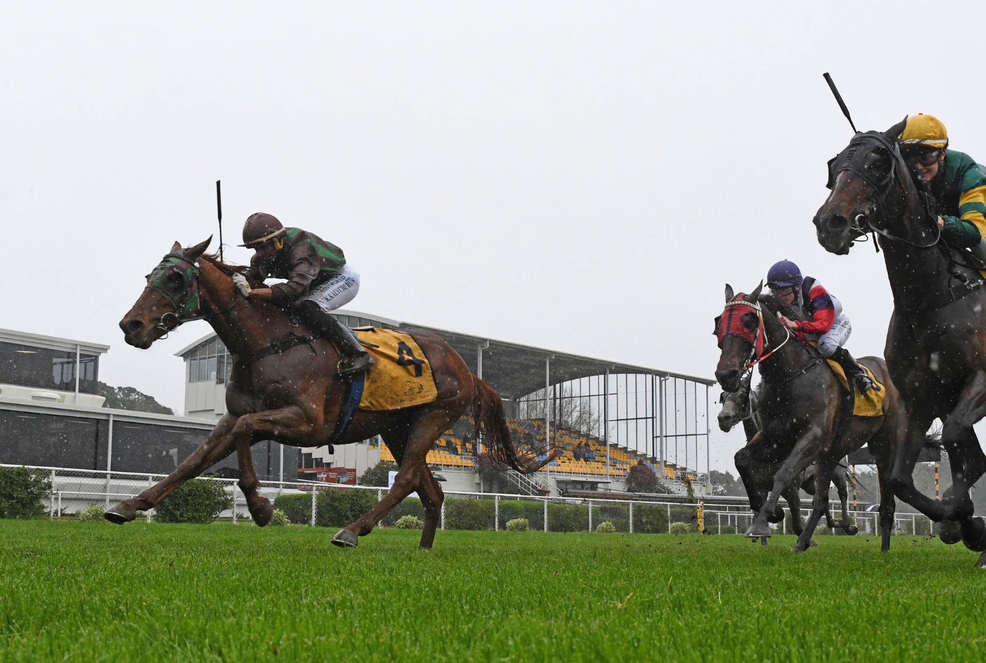 Watch Racing Live & On Demand | Trackside NZ