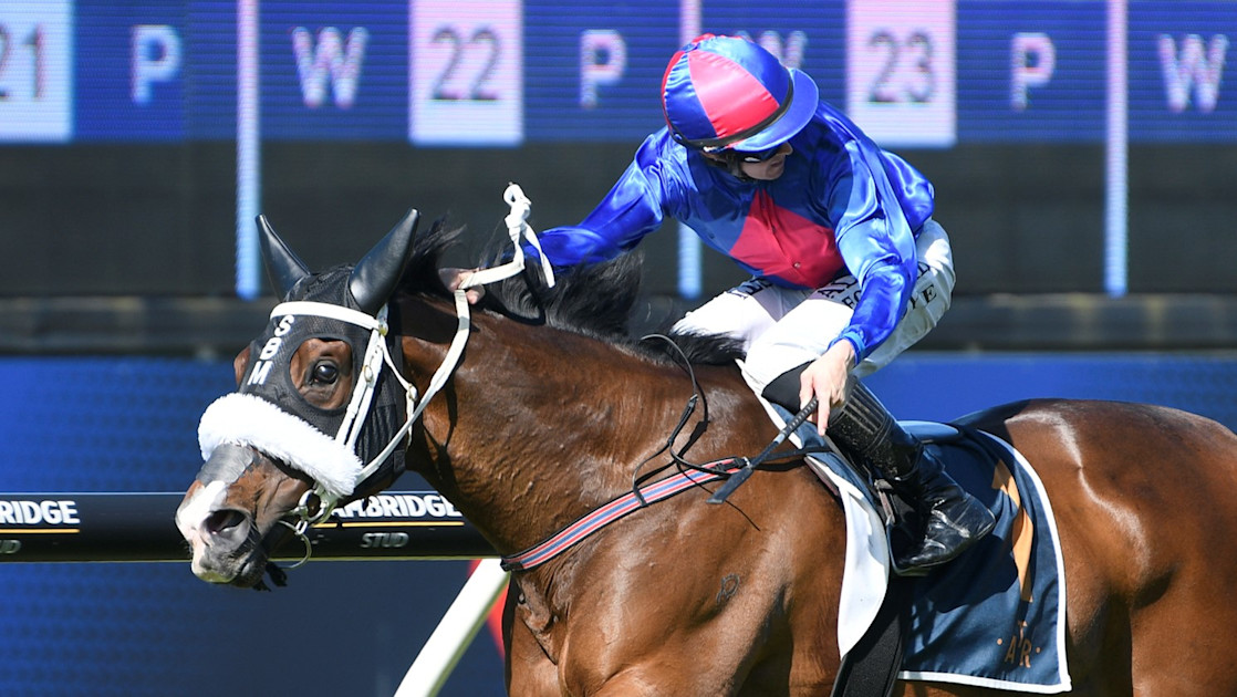 El Vencedor out to go one better