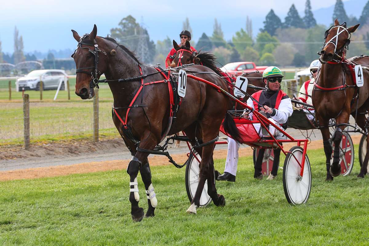 Tony Shaw’s Triumphant Return from Tragedy to Trackside