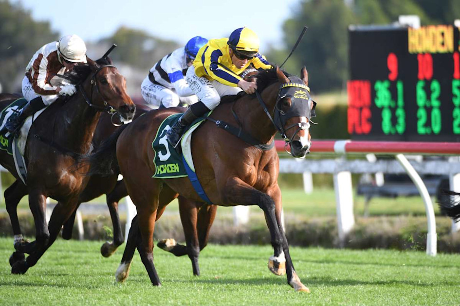 Stephen Hunt runs the numbers on Gr.1 Howden Insurance Mile