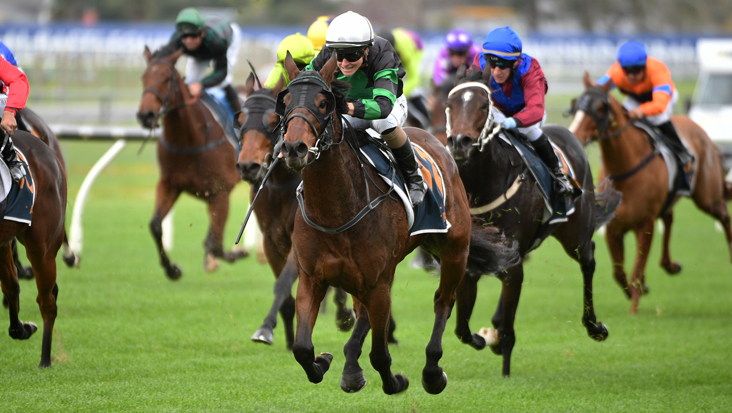 Southern formula succeeds again with Super Fly