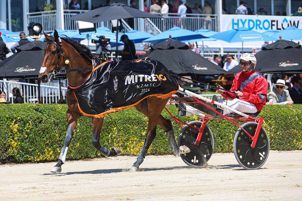 Big stage beckons for Julie: Winton Harness Racing Preview