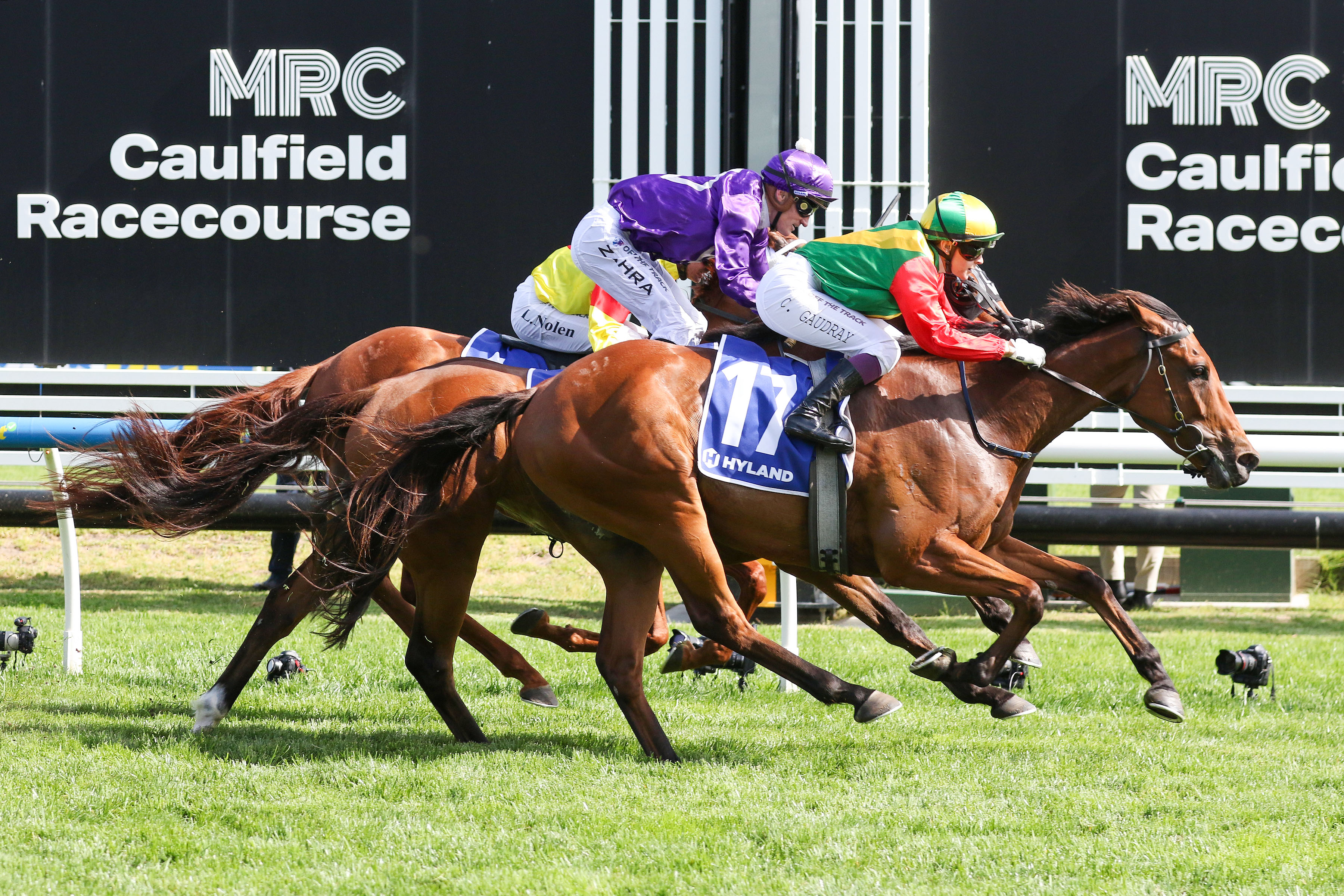 Torranzino plunders Country Cups Final