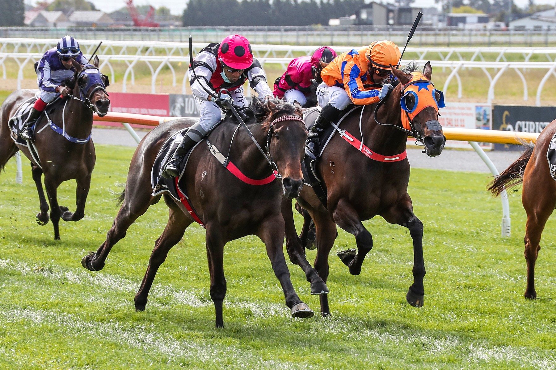 Tyler welcomes back an old friend for Wingatui feature