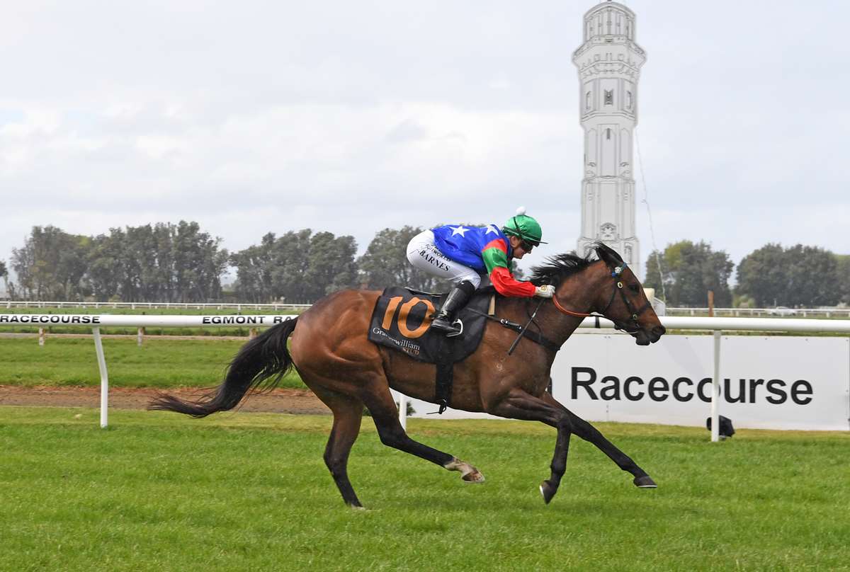 CD Special: Justin Evans picks New Plymouth winners