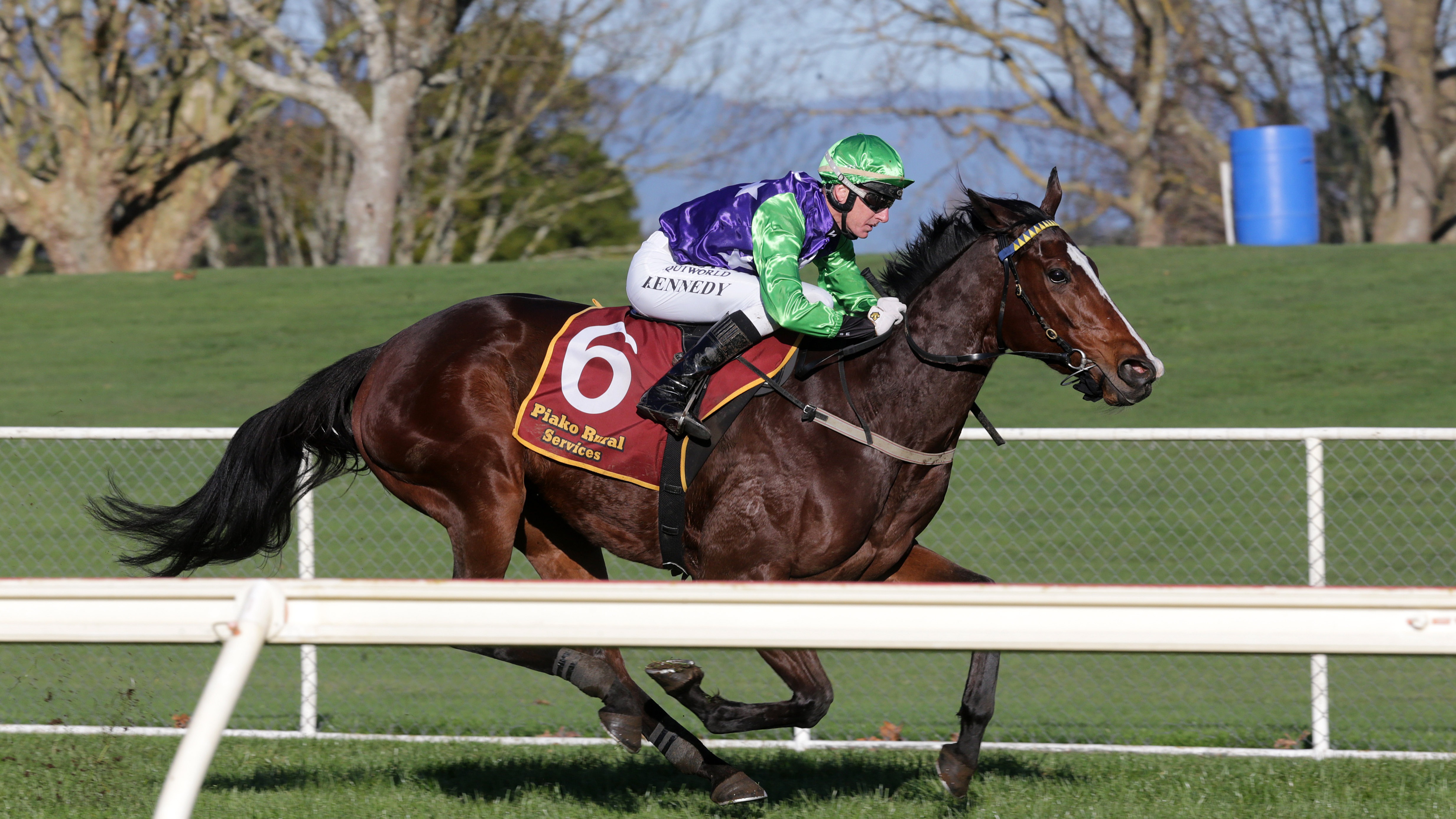 Wet week holds no fears for Sassy Lass ahead of Counties Cup