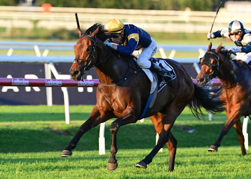 Stradbroke next for flying War Machine